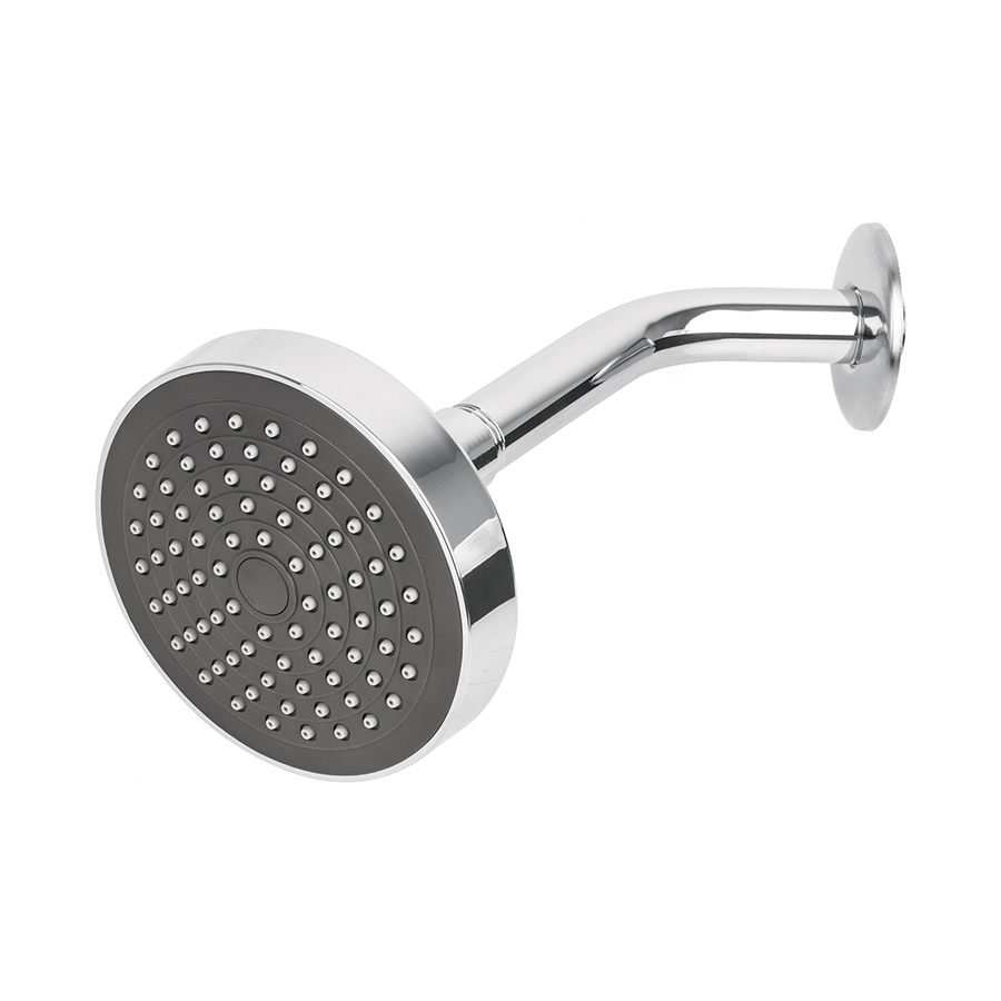 Regadera Completa de Metal